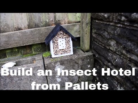 Build an Insect Hotel from Pallets