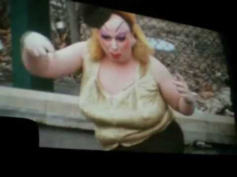 Pink Flamingos - Reaction