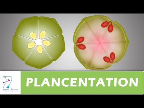 Types of Placentation Video Lecture - Biology for Grade 11