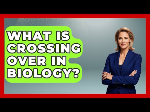 What Is Crossing Over In Biology? - Biology For Everyone