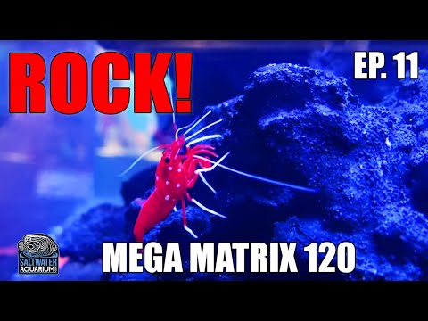 DRY & LIVE ROCK In Your Saltwater Aquarium - Mega Matrix 120