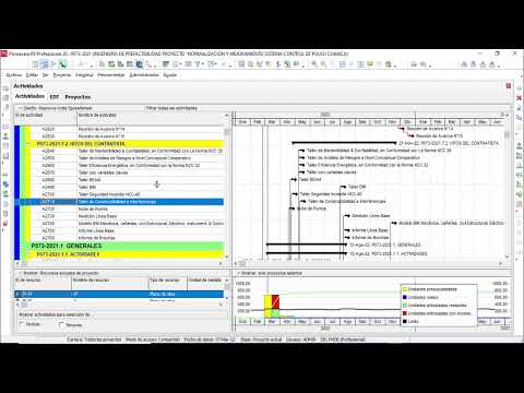 Introducción al Curso de Primavera P6