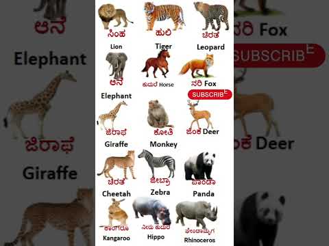 Wild & forest animal names in Kannada & English//Animals vocabulary /ಕಾಡು ಮತ್ತು ಅರಣ್ಯ ಪ್ರಾಣಿಗಳ ಹೆಸರು