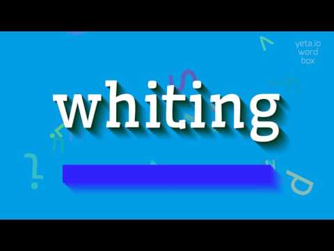 How to say "whiting"! (High Quality Voices)