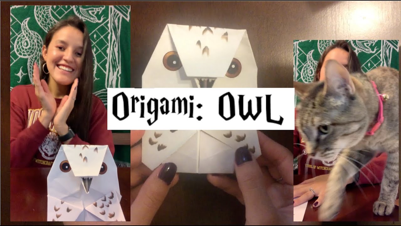 Harry Potter Origami: Snow Owl (Medium)