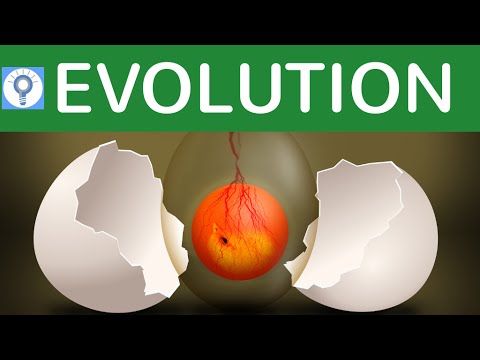 What is evolution? - Definition | Evolution 2