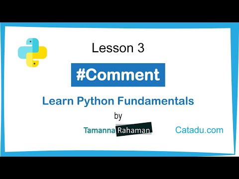 Comments in Python