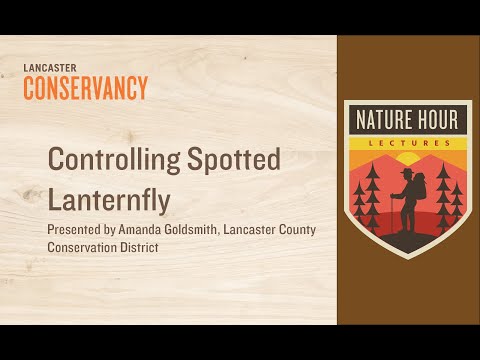 Nature Hour: Controlling Spotted Lanternfly