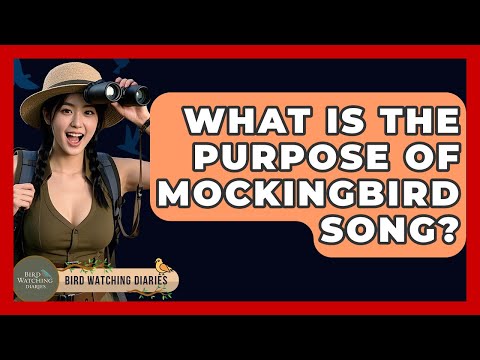 What Is The Purpose Of Mockingbird Song? - Bird Watching Diaries