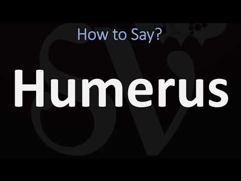 How to Pronounce Humerus? (CORRECTLY)