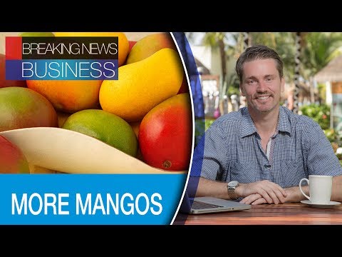 More mangos for U.S. consumers | Yogome, the mexican startup of education