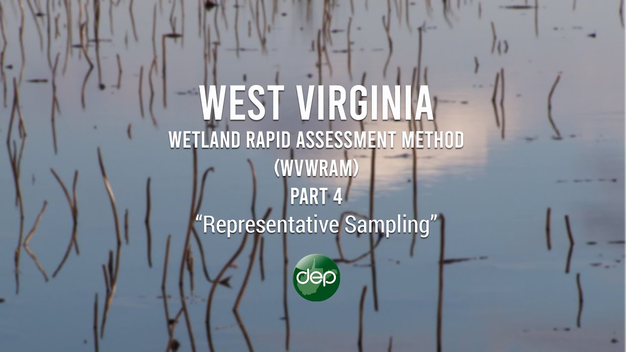 WVWRAM Part 4: Representative Sampling