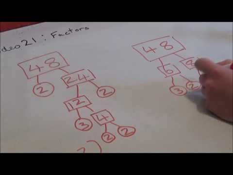 Ulverley Maths: Lesson 21 factors