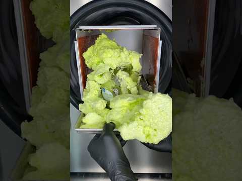 Freeze Drying A Full Jar Of PICKLES!🥒 Freeze Dried Pickle Kit 🤢 #freezedriedcandy #freezedried