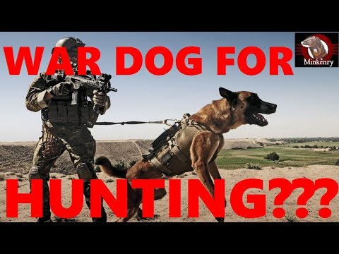 Why Mink Man Wants a War Dog
