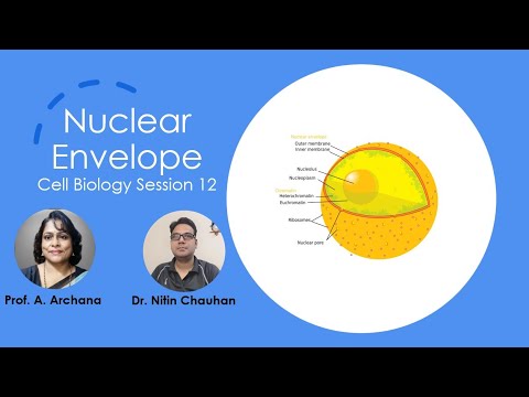 Cell Biology-Nuclear Envelope-Session-12