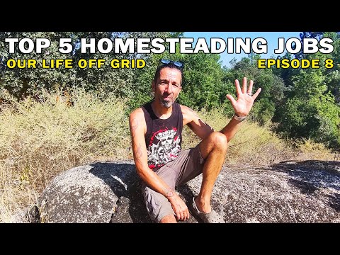 TOP 5 JOBS off grid - BUSY ON OUR HOMESTEAD!