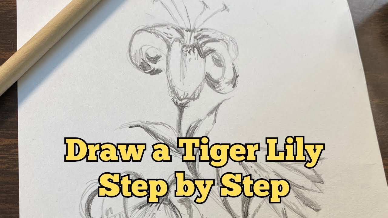 ✨Draw a Tiger Lily | A Simple, Easy, & Beginner Friendly Tutorial