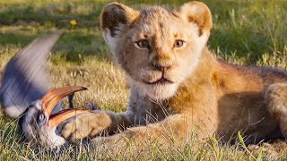 The Lion King - movie: watch streaming online