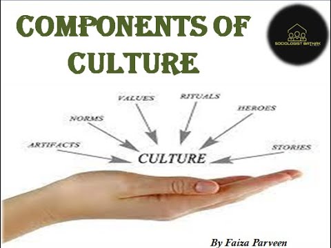 Components of Culture |Norms| Values| Beliefs| Language| Folkways| Mores Lecture in Urdu and Hindi