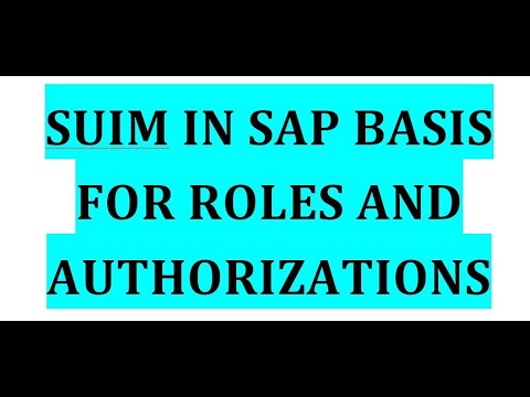 How to execute the T code SUIM for ROLES AND Authorizations in SAP Basis