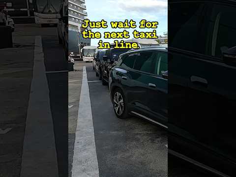 Aruba Cruise Port TAXI INFO You Need to Know!