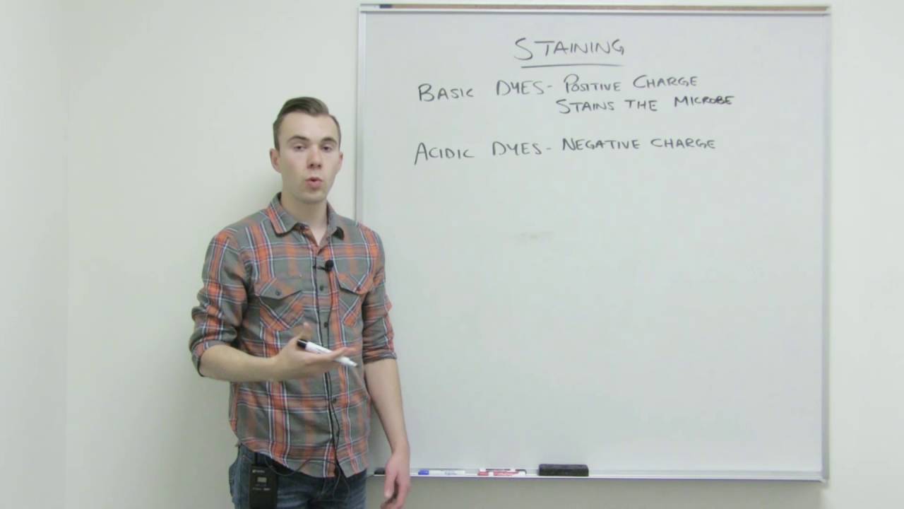 Microbial Identification Techniques Part 1