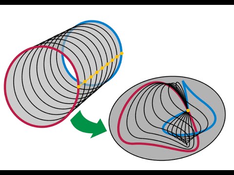 Vladimir Voevodsky 1966-2017 – Mathlog