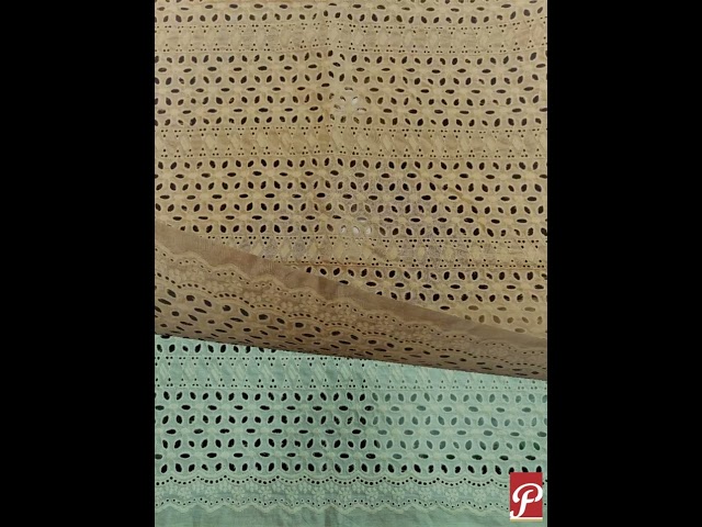 Dry Lace - Schiffli Embroidery With Boring Allover Design Trader ...
