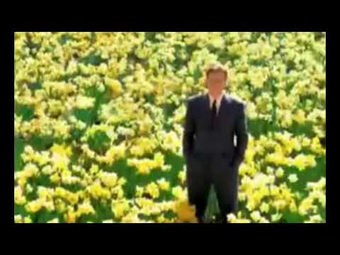 The Daffodils (William Wordsworth)