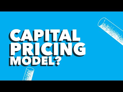 Capital Asset Pricing Model - What does it mean and what is it?