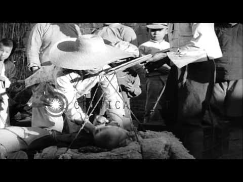 Madame Chiang Kai-Shek trains girls for war work and plays a ball game with them ...HD Stock Footage