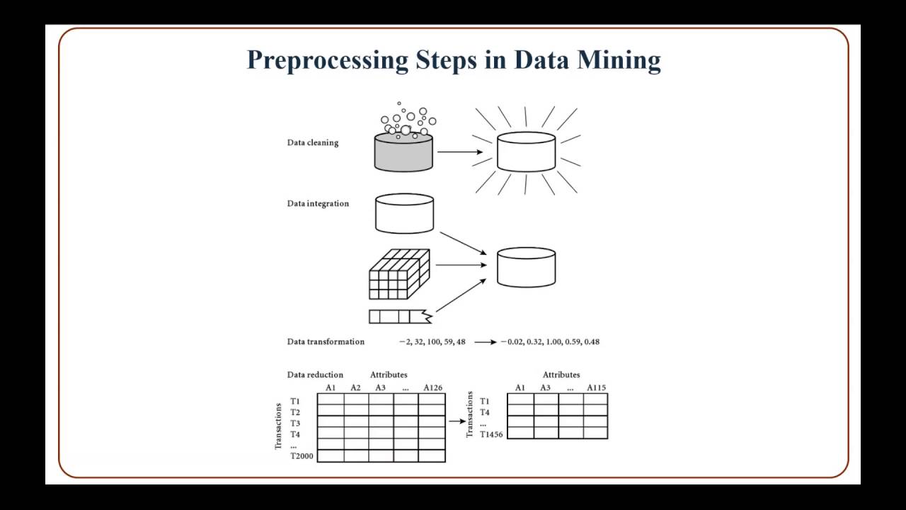 Data Preprocessing (v2)