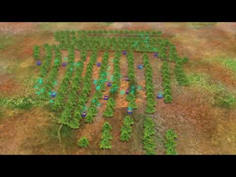 Tevel Aerobotics Technologies - Fleet of Airborne Harvesting Robots for ...