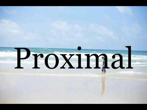 How To Pronounce Proximal🌈🌈🌈🌈🌈🌈Pronunciation Of Proximal