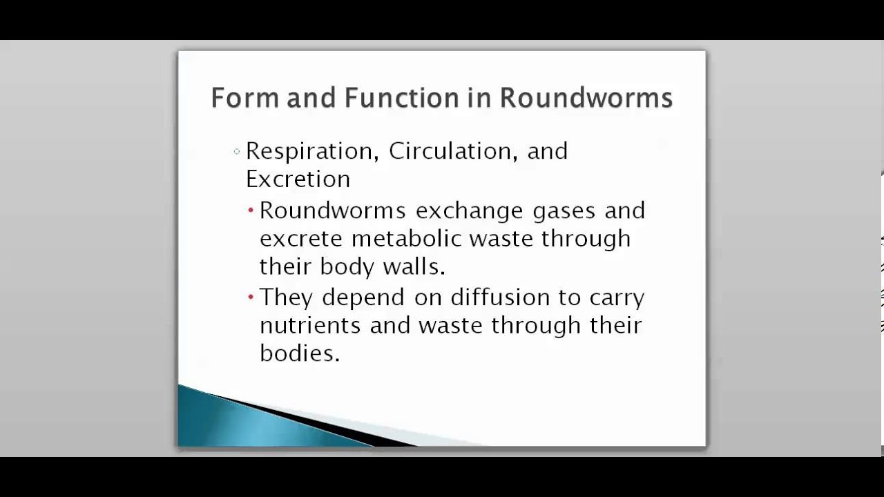 27-2 Roundworms (Part 1)