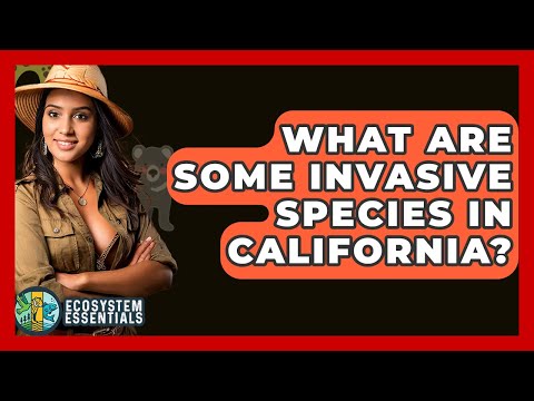 What Are Some Invasive Species In California? - Ecosystem Essentials