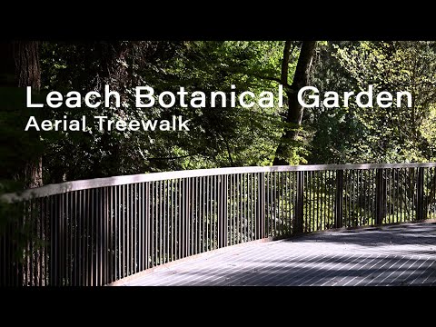 There's An Aerial Tree Walk in Oregon At Leach Botanical Garden