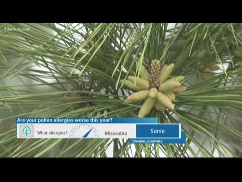 Is this pollen season worse than usual?
