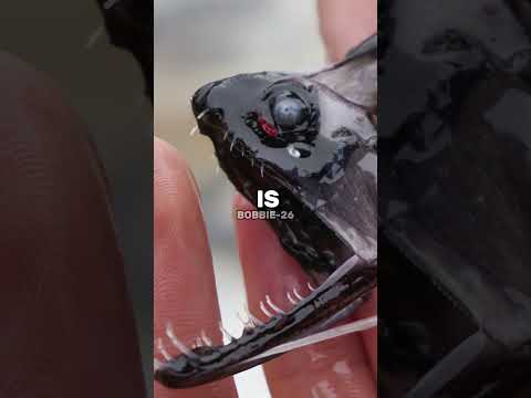 the scariest deep-sea creature of all time #shorts #sea #ocean