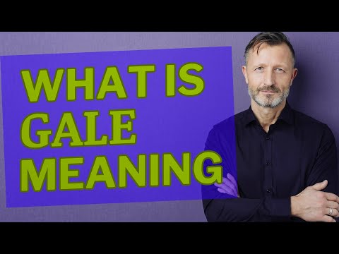 Gale | Meaning of gale 📖