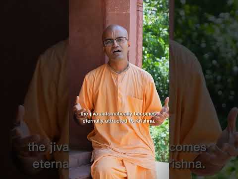 Meaning of "Krishna" by Sri Gaurcaran prabhuji. #harekrishna #iskcon #iskcongev #radhakrishna