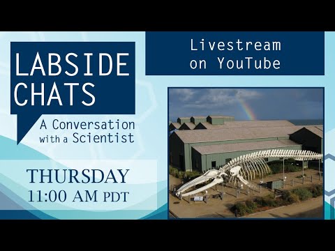 Labside Chats: A Conversation with a Scientist, featuring John Carlos Garza, Ph.D.
