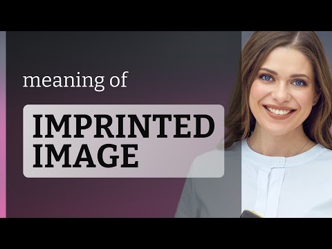 Imprinted Images: Understanding Through Visuals