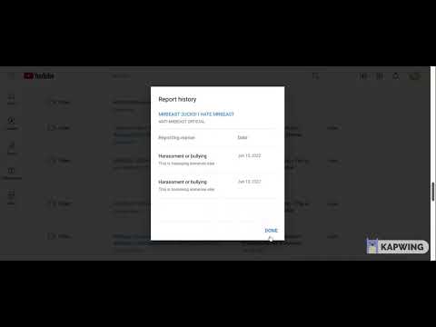 Youtube Report History