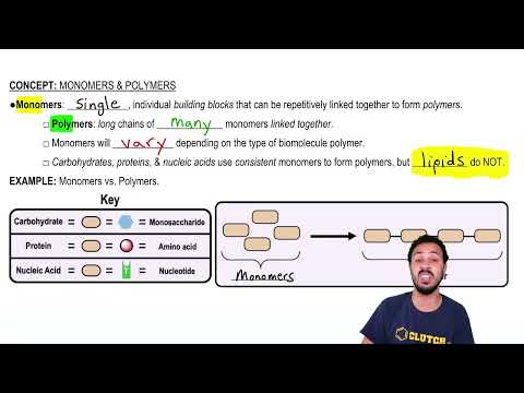 Monomers & Polymers in 4 mins - Macromolecules, High School Biology Lesson