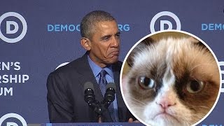 Obama Compared Republicans To Grumpy Cat, Whipped Out Uncanny Grumpy ...