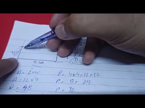 Area, Perimeter and Diagonal of Rectangle | Explained in Urdu