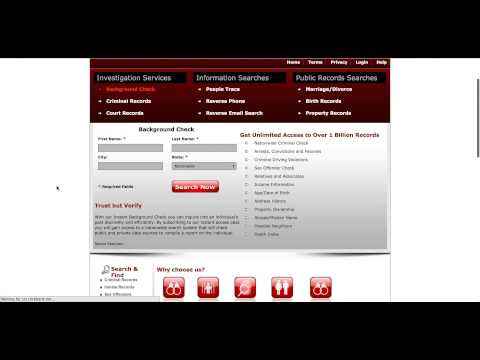 How To Get Your Michigan Driving Record