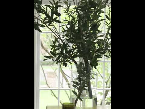 New Product Alert: Artificial Olive Branch Arrangement in Glass Vase - discount code in description!